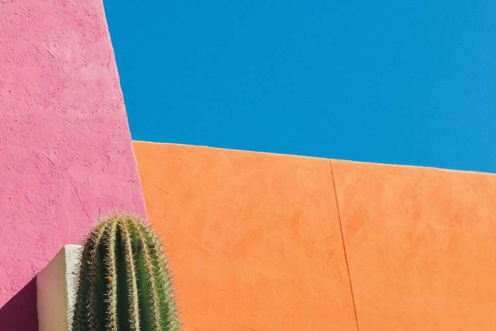 Gratisography Stock | Armory