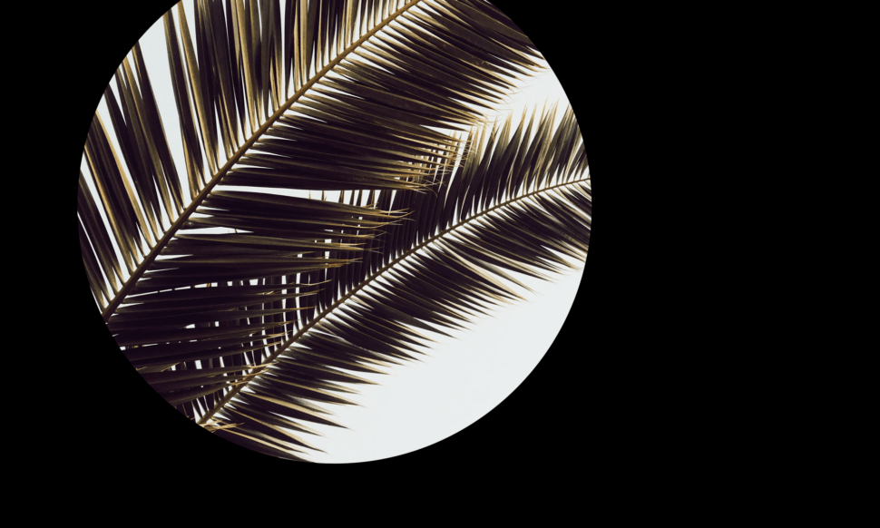 Shapes Slideshow Armory